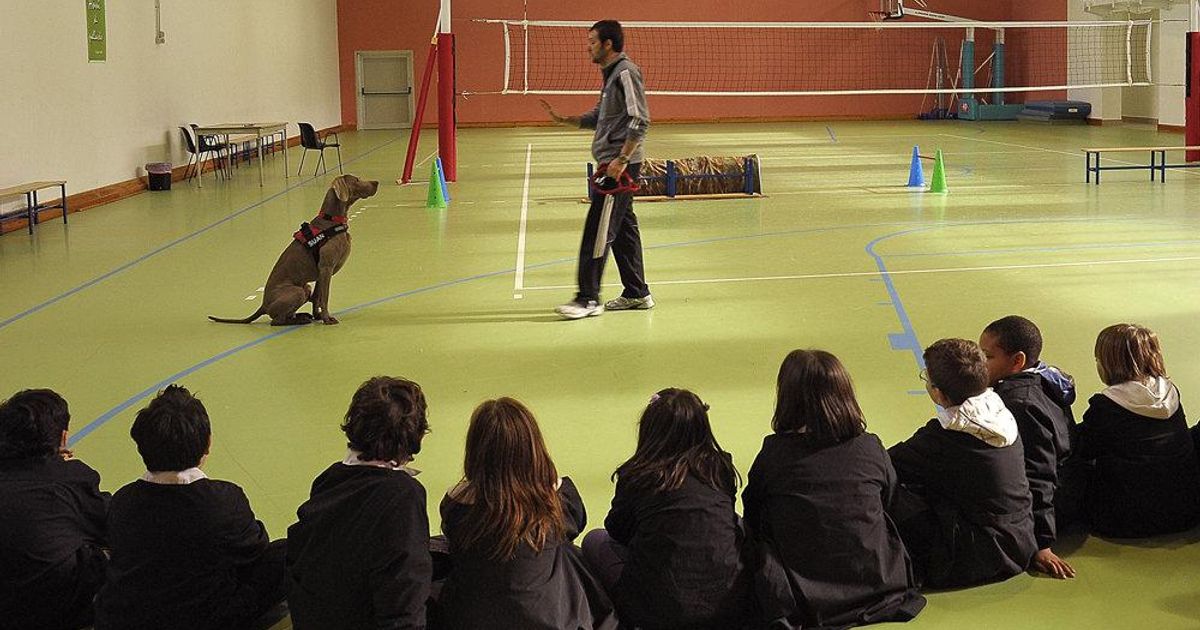 La mia preside può portare il cane a scuola? | ScuolaZoo