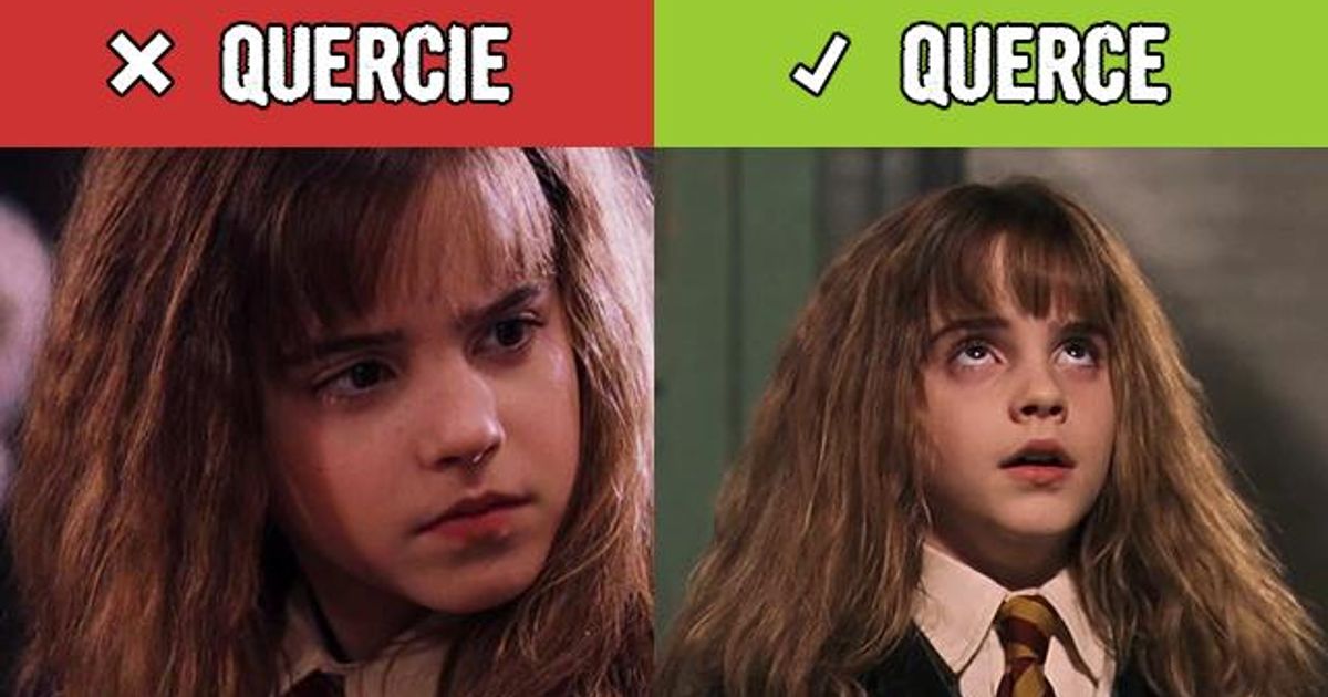 quercie o querce: come si scrive? | ScuolaZoo