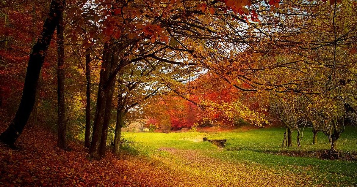 Inizio autunno 2018: perché è il 23 settembre e non il 21 | ScuolaZoo